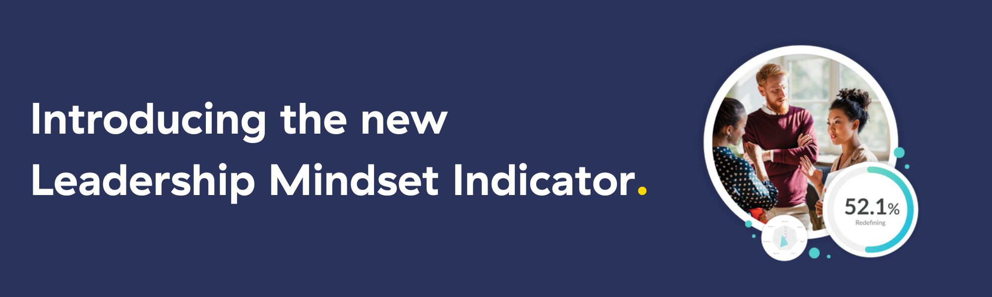 From VMI to LMI: Introducing the new Leadership Mindset Indicator | Adeption