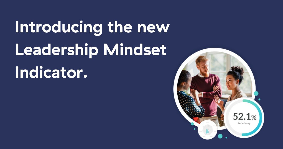 From VMI to LMI: Introducing the new Leadership Mindset Indicator ...